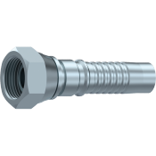 BSP Fittings | Dicsa